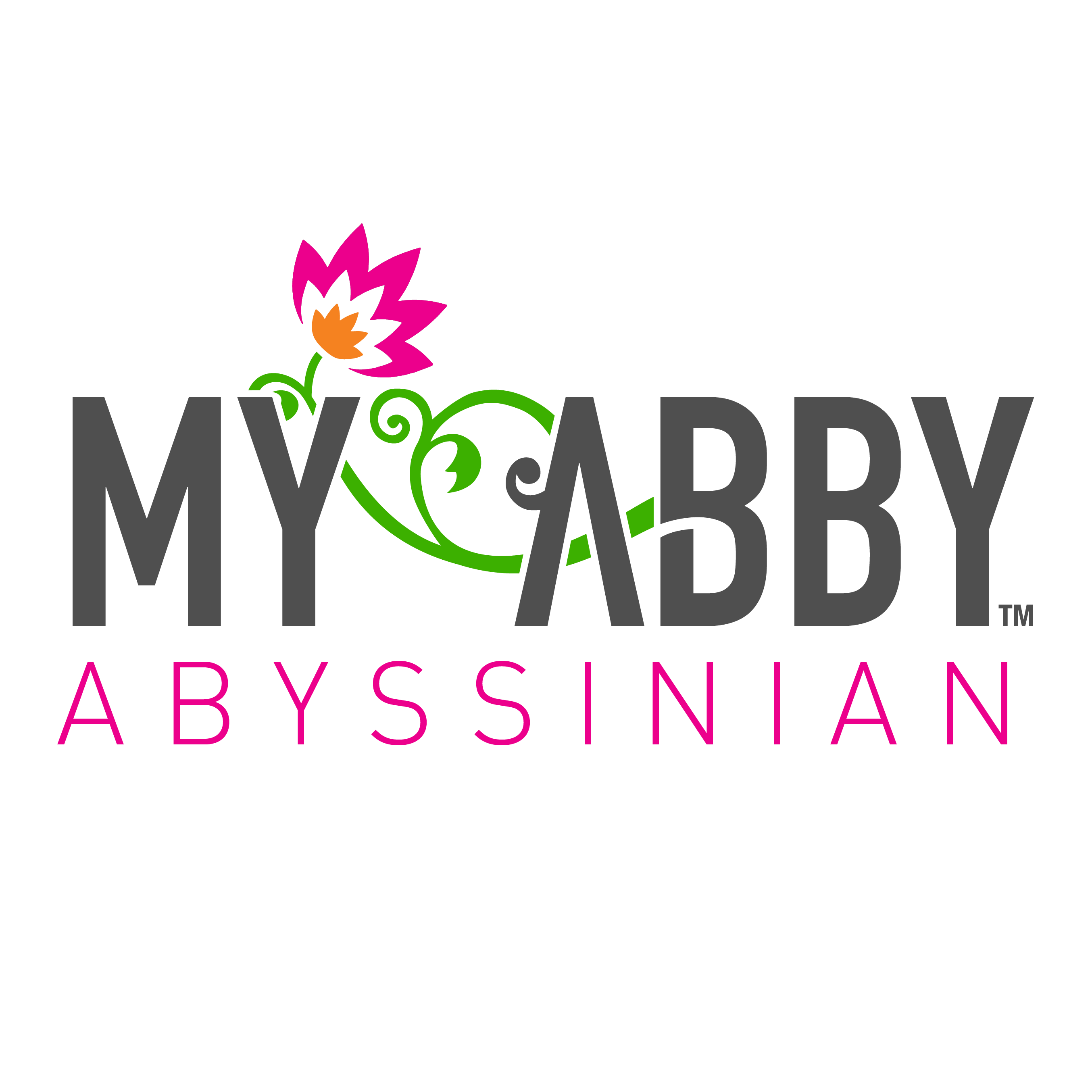 My Abby ™ Abyssinian | Sana