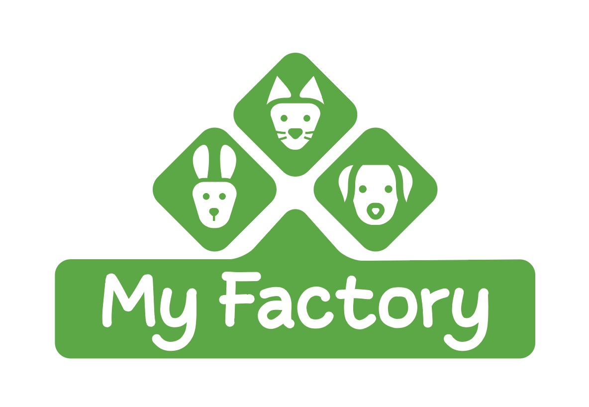 My Factory Srl